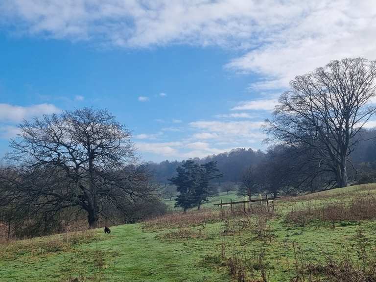 Easneye Wood: Wanderungen und Rundwege | komoot