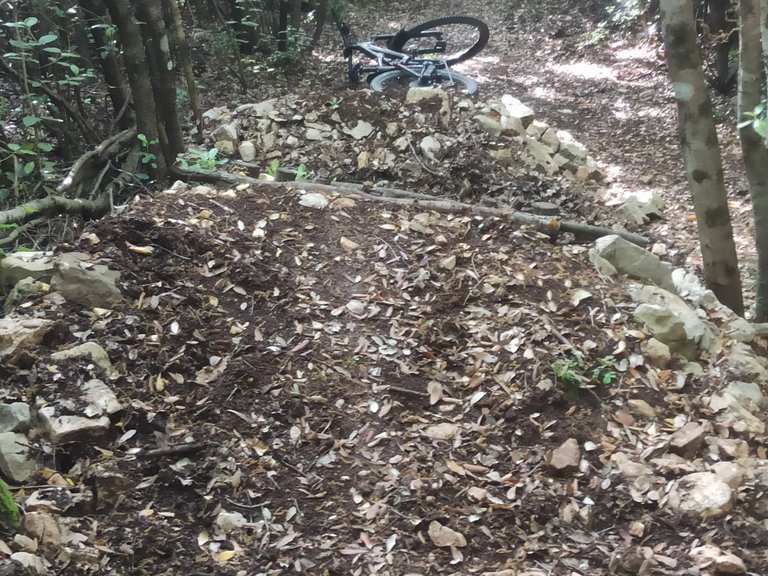 A cool, friendly single - Mountain Bike Trails & Tracks | Komoot