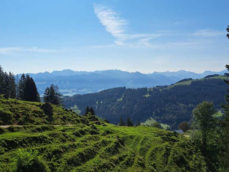 Super Blick in die Alpen – Steineberg Runde von Gunzesried | Wanderung ...