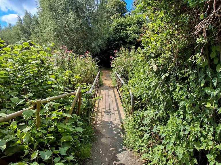 Cleydael Bridge – Cycling Routes & How to Get There | Komoot