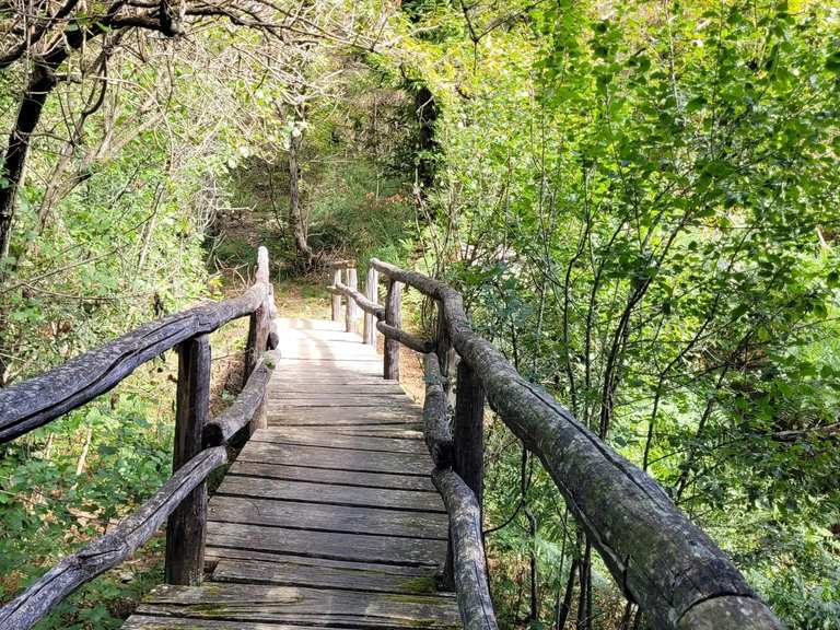 Réserve naturelle Bosco di Maia - Itinéraires vélo et carte | Komoot