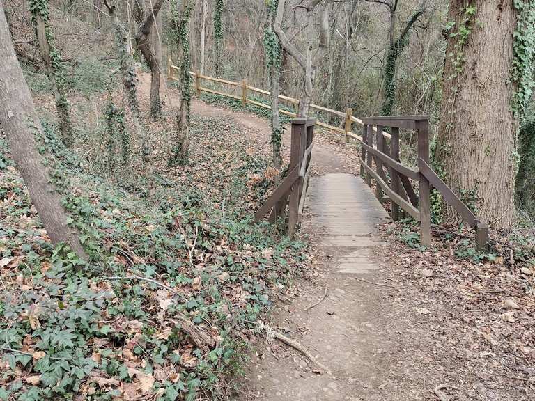 James River loop via JRPS Maintenance, Reedy Creek, High Water en North ...