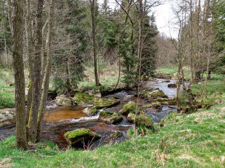 Vallée de la Fichtelnaab - Itinéraires vélo et carte | Komoot