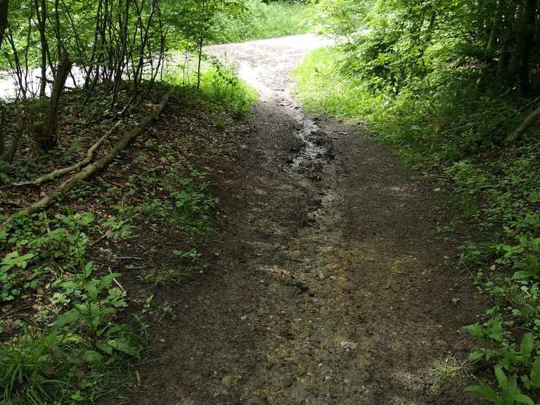 Hasenberg Trail, Widen: Mountainbike-Touren | komoot