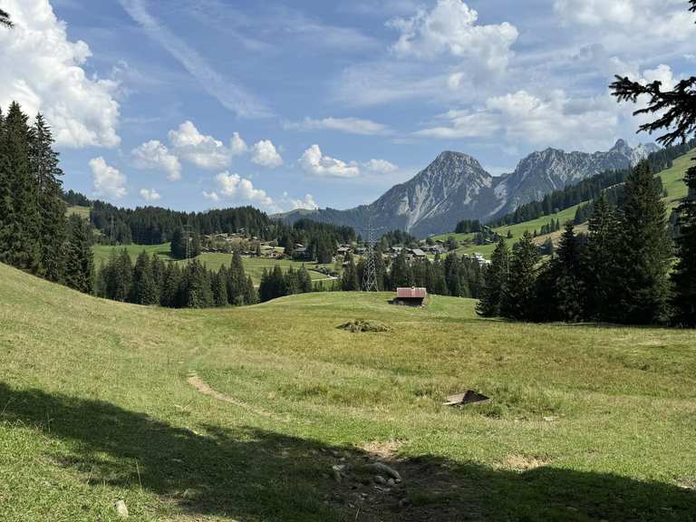 B15 Gstaad - Col des Mosses - Col du Pillon - Gstaad | mountain bike ride | Komoot
