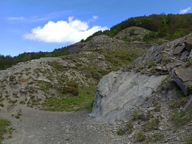CAI Trail 475 zum Lago della Ninfa von Le Polle | Wanderung | Komoot