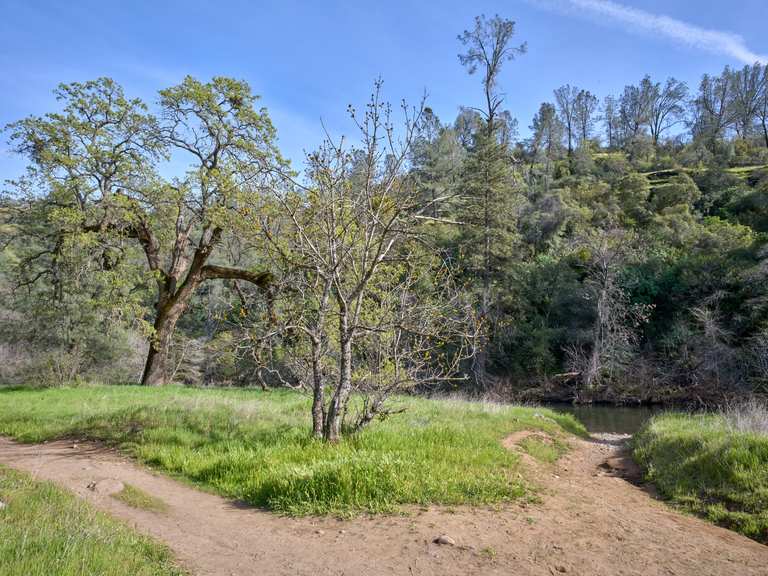 South Rim Trail — Upper Bidwell Park | Wanderung | Komoot