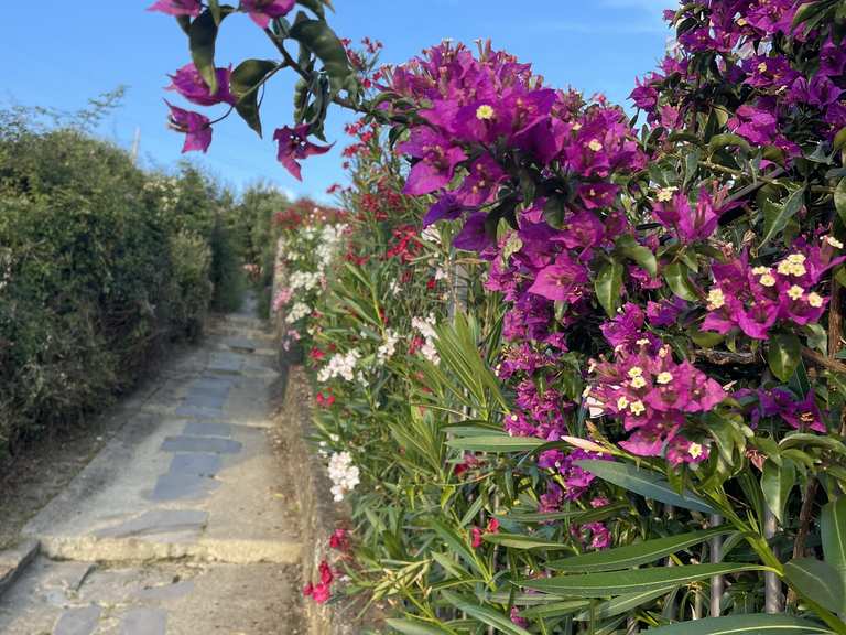 Percorso storico dei portatori di ardesia verso Santa Giulia di ...