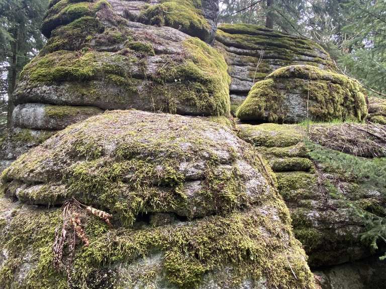 Riesenberg: Wanderungen und Rundwege | komoot