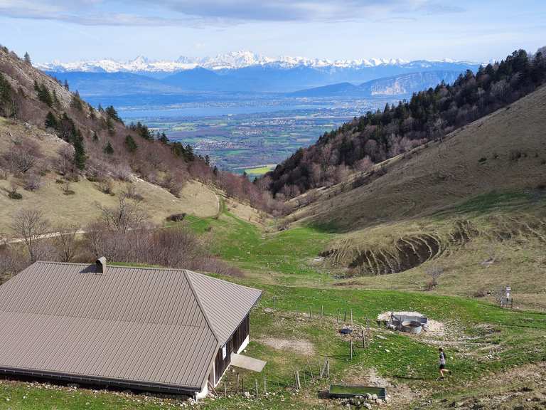 Le Colomby de Gex depuis le Pailly | Wanderung | Komoot