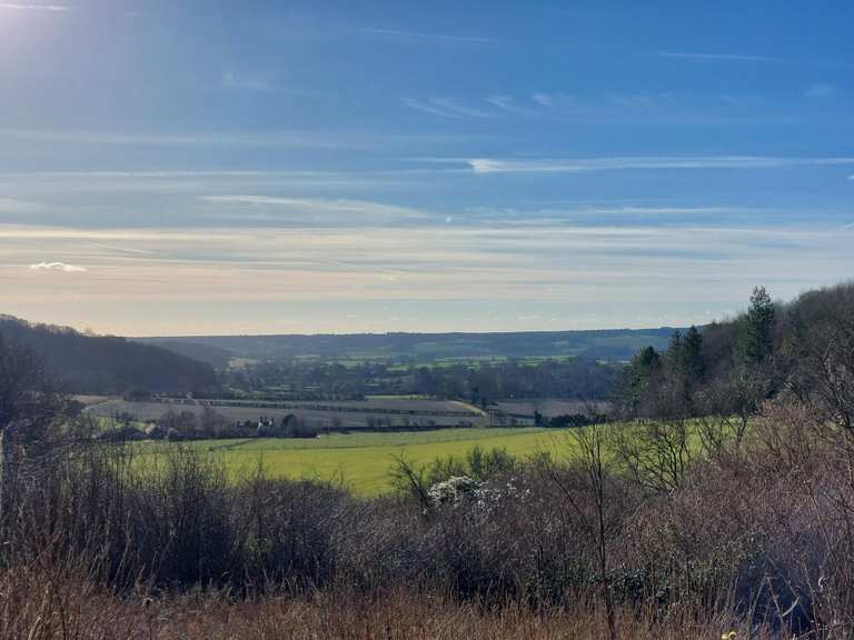 Ashridge Estate - Cycle Routes and Map | Komoot