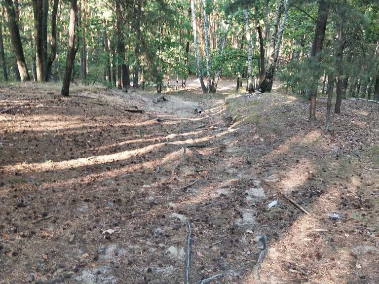 Technische Abfahrt und Auffahrt (zwei Varianten): Mountainbike-Touren ...