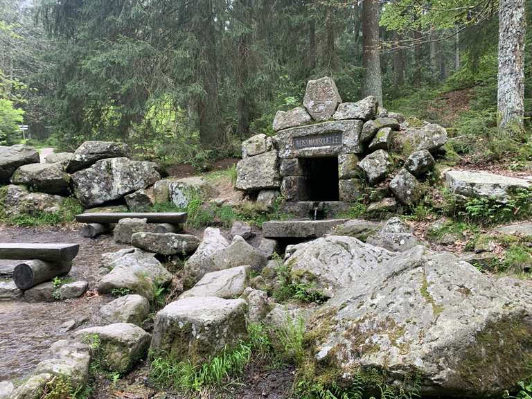 Die Quelle des Weißen Mains : Radtouren und Radwege | komoot