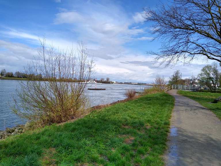 Winkelbach Mündung: Wanderungen und Rundwege | komoot