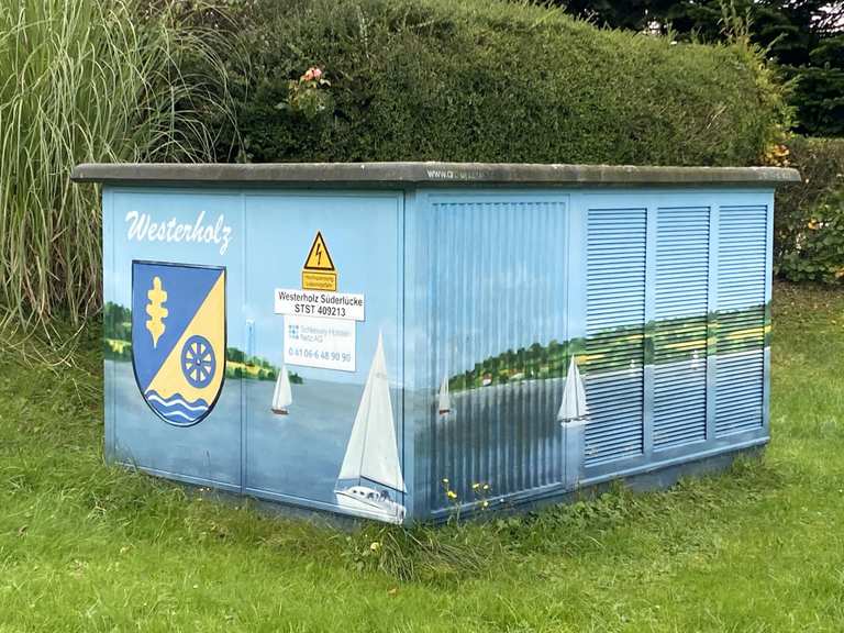 Westerholz Utility Box Mural - Mountain Bike Trails & Tracks | Komoot