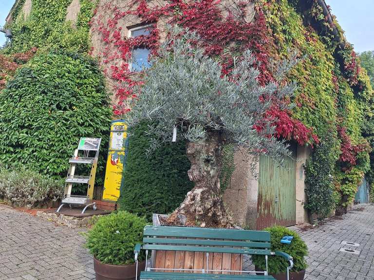 Schönhoff Gardens – Cycling Routes & How to Get There | Komoot