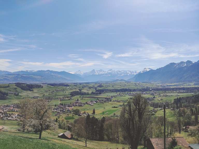 Vista del Eiger, Mönch y Jungfrau: Rutas MTB | Komoot