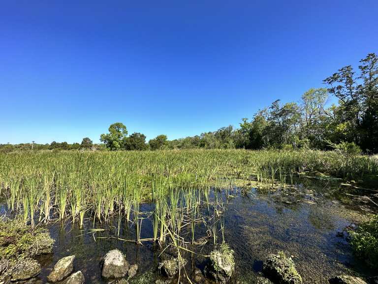 Three Sisters Springs - Cycle Routes and Map | Komoot