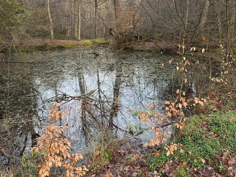 "Merler Bahn": Wanderungen und Rundwege | komoot