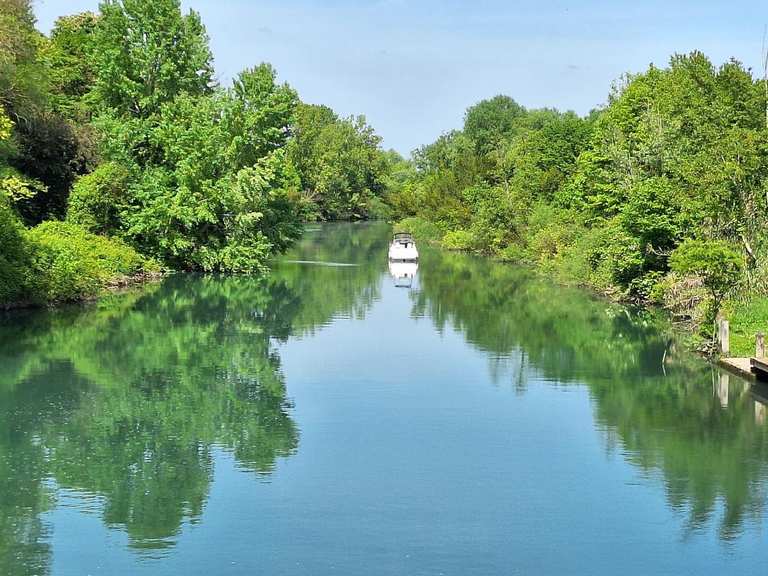 Stella River in Precenicco - Cycle Routes and Map | Komoot