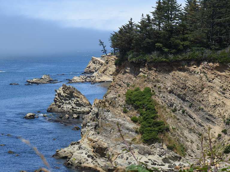 Simpson Reef Loop Trail — Cape Arago State Park | hike | Komoot