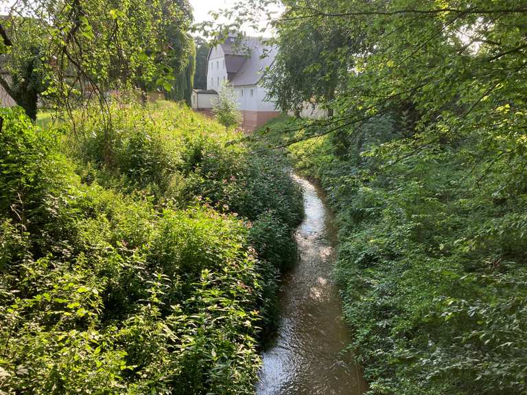 Schwarzbach Wooden Bridge – Cycling Routes & How to Get There | Komoot