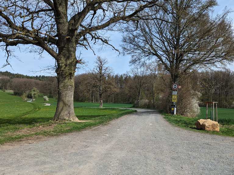 Erlebnispfad Patersberg: Wanderungen und Rundwege | komoot