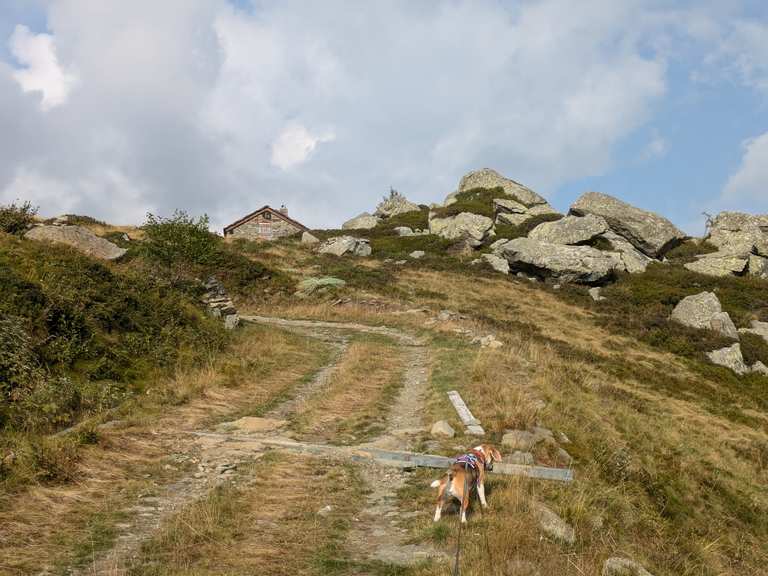 Testa Paian Gipfelweg von Mezzenile (über Route 205) | Wanderung | Komoot