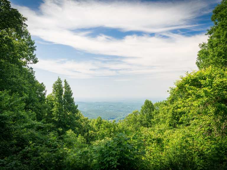 Woody Gap to Chattahoochee Wildlife Management Area loop — Lumpkin ...