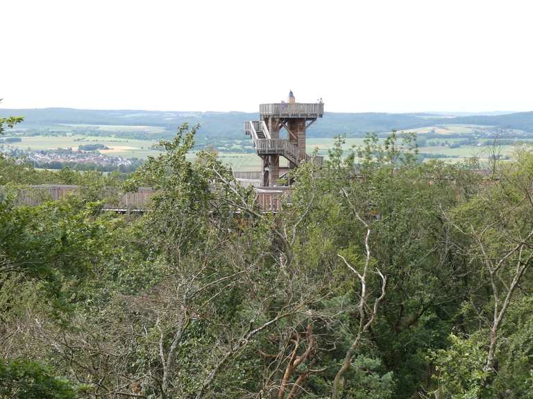 Baumwipfelpfad Bad Camberg – Wander- & Radrouten | Komoot