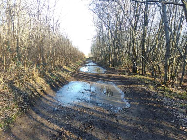 Sentieri nel Parco del Roccolo: Mountainbike-Touren und -Trails | komoot