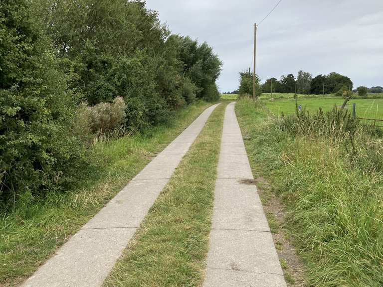 Llama Pasture on Twin-Track Path - Road Cycle Routes and Map | Komoot