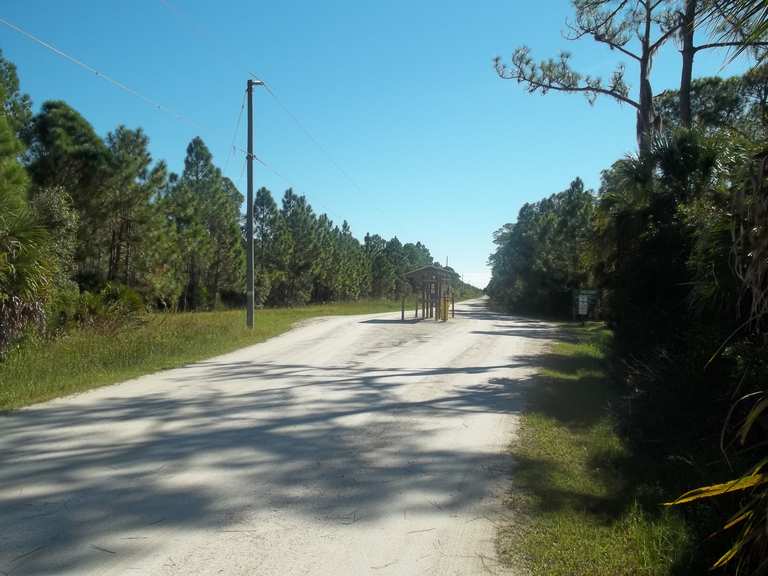 Loop di Myakka State Forest — Sarasota | giro in bici | komoot