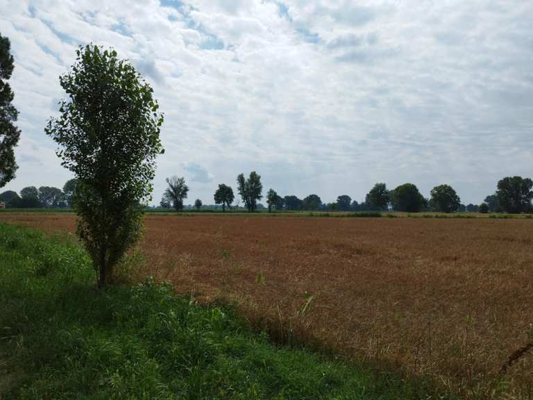 Dem heiligen Petrus geweihte Kirche, Landschaft Maleo/Argine Adda ...