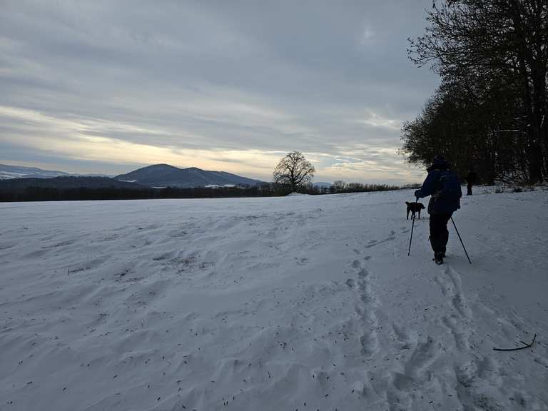 Rovine del Castello di Malsberg – Escursioni e come arrivarci | Komoot
