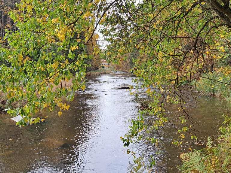 Tal der Freiberger Mulde : Radtouren und Radwege | komoot
