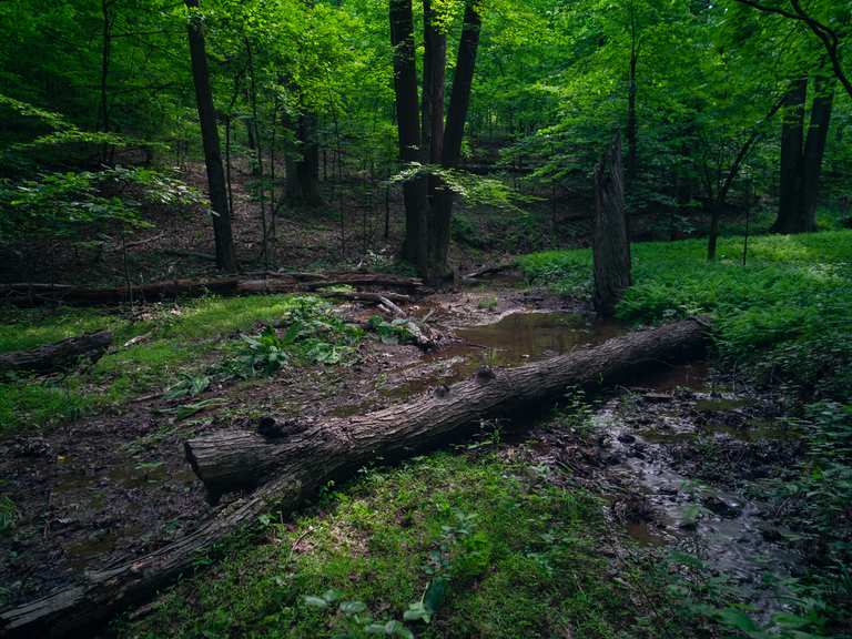 Loop Whitetail e Stoneybrook Trail — Little Bennett Regional Park ...