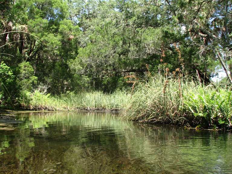 Hog Ponds Trail Cycle Routes and Map | Komoot