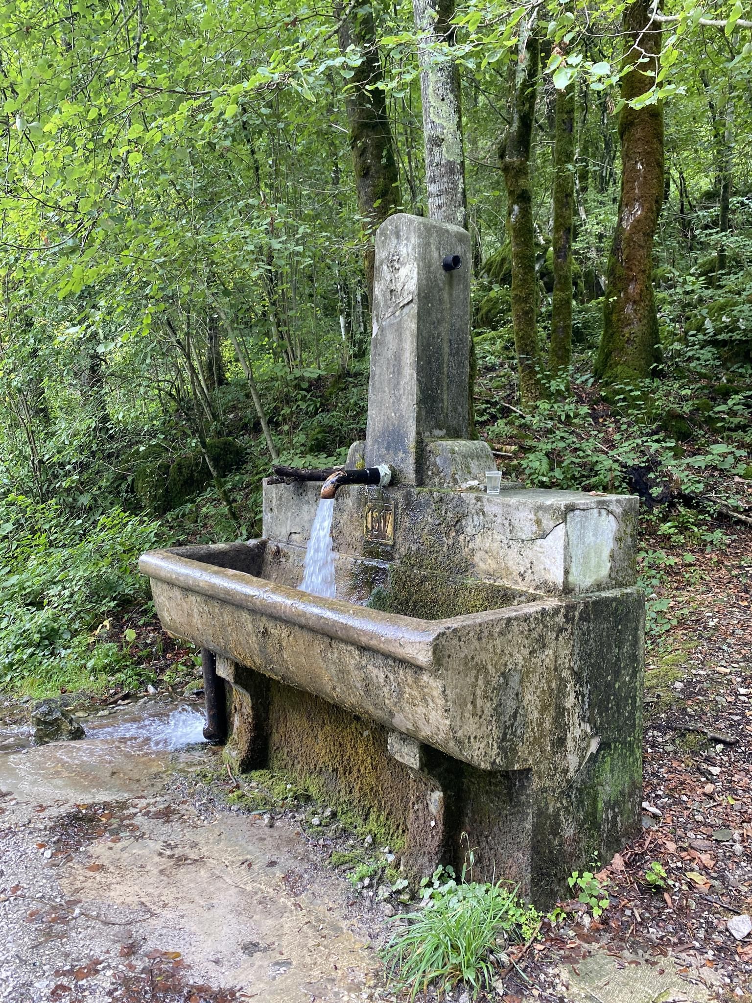 Einzigartig abgeschieden – Fernwandern auf dem Juliana Trail | Wander ...