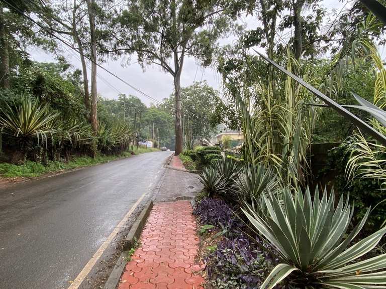 Nairobi Arboretum - Kenya, undefined | Course à pied - Incontournable ...