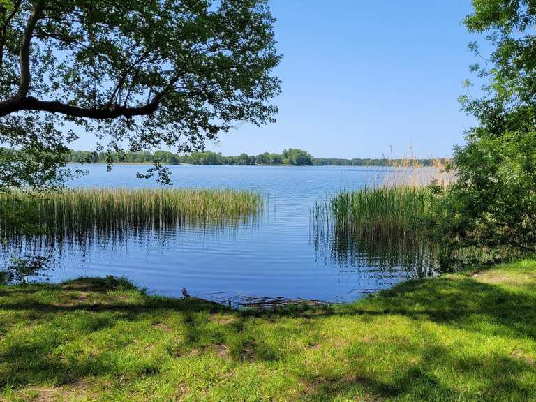Wandlitzer See: Wanderungen und Rundwege | komoot