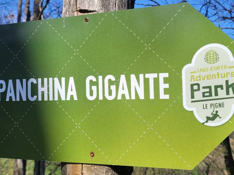 Giant Bench Cima D'Oro – Hiking & Cycling Routes | Komoot