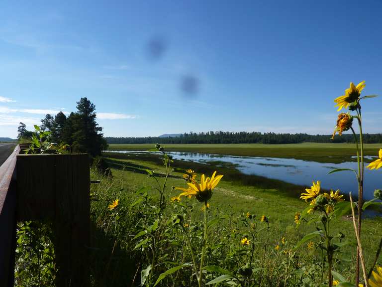 Lower Lake Mary - Cycle Routes and Map | Komoot