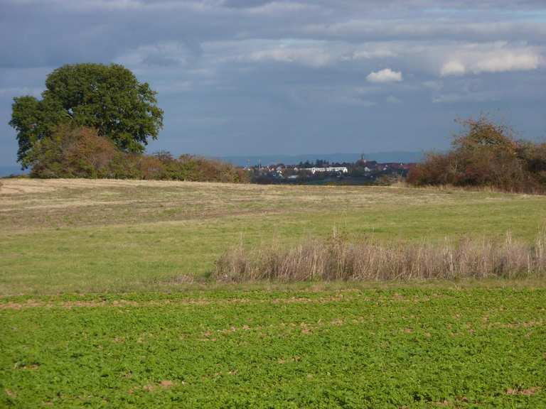 Blick auf Weissach - Cycle Routes and Map | Komoot