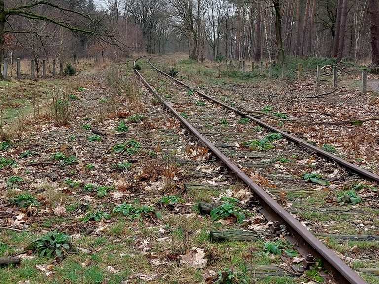 Oude spoorweg in Nationaal Park De Meinweg: Mountainbike-Touren und ...