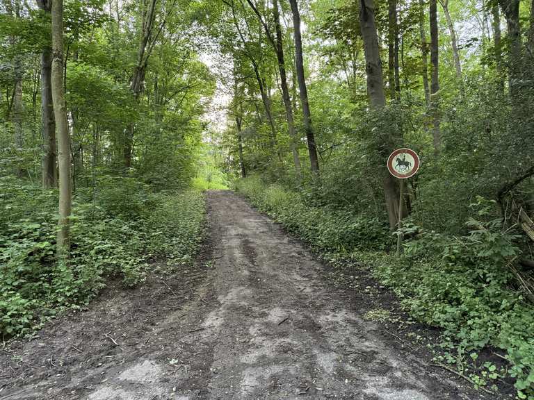 MTB Route Through the Fields to the Flower Shop – Cycling Routes & How ...