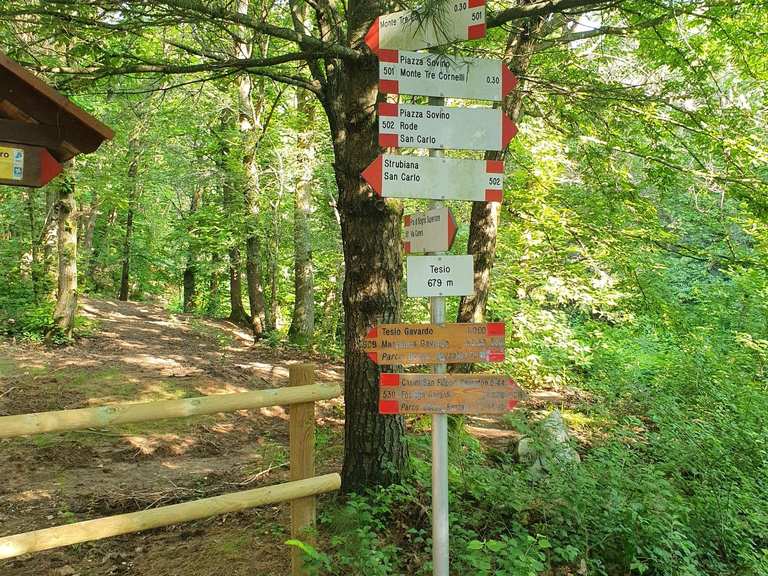 Sentiero Monte Tesio da Gavardo (via Percorso 501) | escursione | komoot
