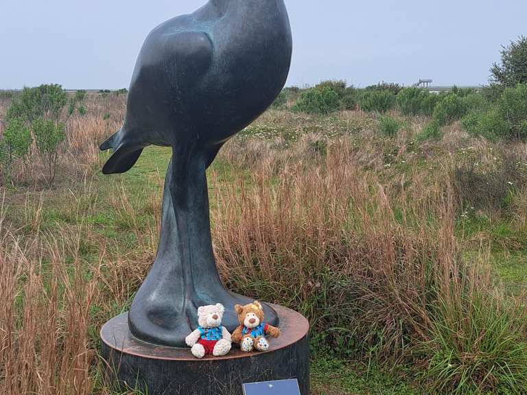 Oak Mott, Eskimo Curlew & Clapper Rail loop — Galveston Island State ...