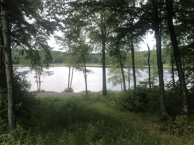 Moon Lake loop — Moon Lake State Forest Recreation Area | hike | Komoot