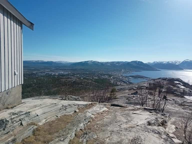 Blick auf Alta und den Altafjord vom Komsatoppen: Wanderungen und ...